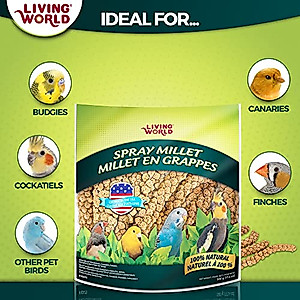 Living World Spray Millet, 17.6 Oz