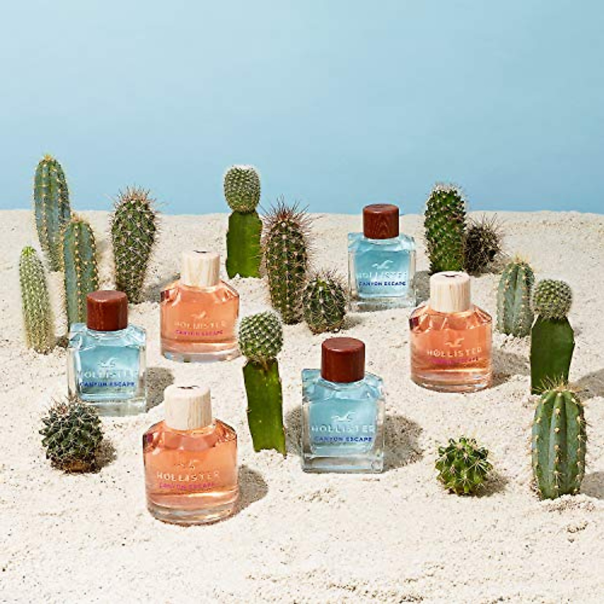 Hollister Canyon Escape Men EDT Spray 3.4 oz