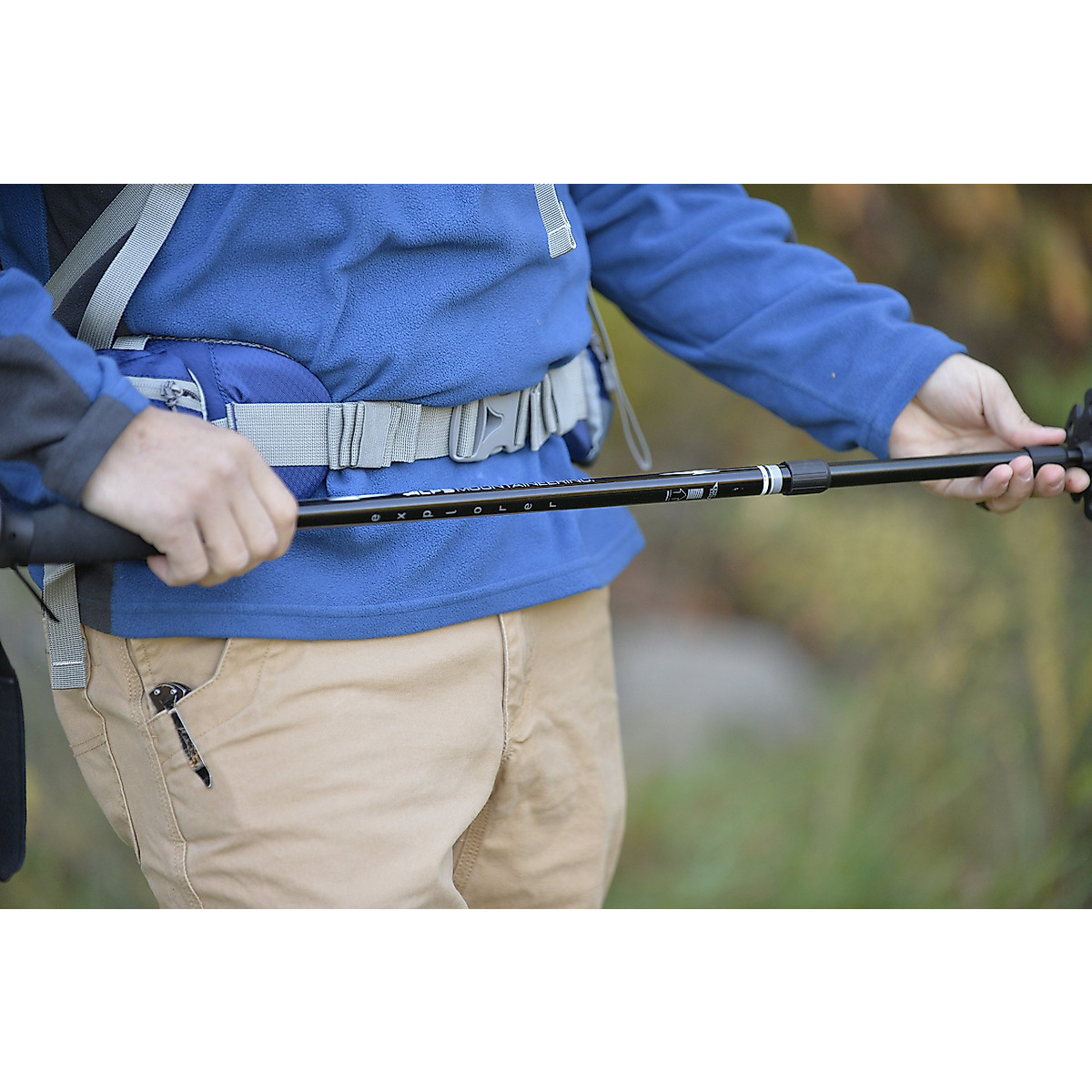 ALPS Mountaineering Explorer Trekking Pole Black, One Size