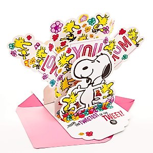 Hallmark Birthday Pop Up Card with Song from Son or Daughter (Peanuts Snoopy and Woodstock Pop Up, Plays Linus and Lucy by Vince Guaraldi)