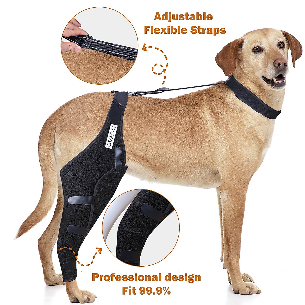 DGYAO Dog Knee Brace for ACL, Knee Cap Dislocation, Arthritis - Full Wrap - Easy Adjustable - Extra Support - Reduces Pain and Inflammation – Full Sizes