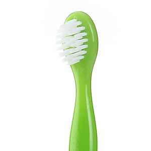 Dr. Talbot's Toddler Training Toothpaste Naturally Inspired with Citroganix, with Toothbrush Included, Pink/Green, 1.6 Ounce