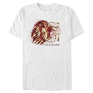 Harry Potter Men's Gryffindor Mystic Wash T-Shirt, White, X-Large