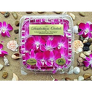 Edible Orchids - 50 Count (Pack of 4)