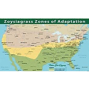 The Dirty Gardener Zenith Zoysia Grass Seed - 1 Pound