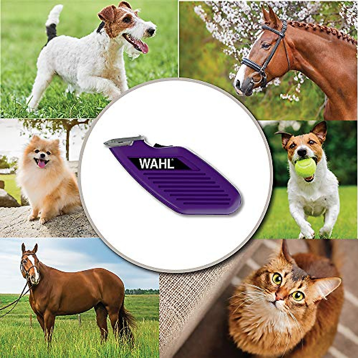 WAHL Professional Animal Pocket Pro Equine Compact Horse Trimmer and Grooming Kit, Purple (#9861-930)