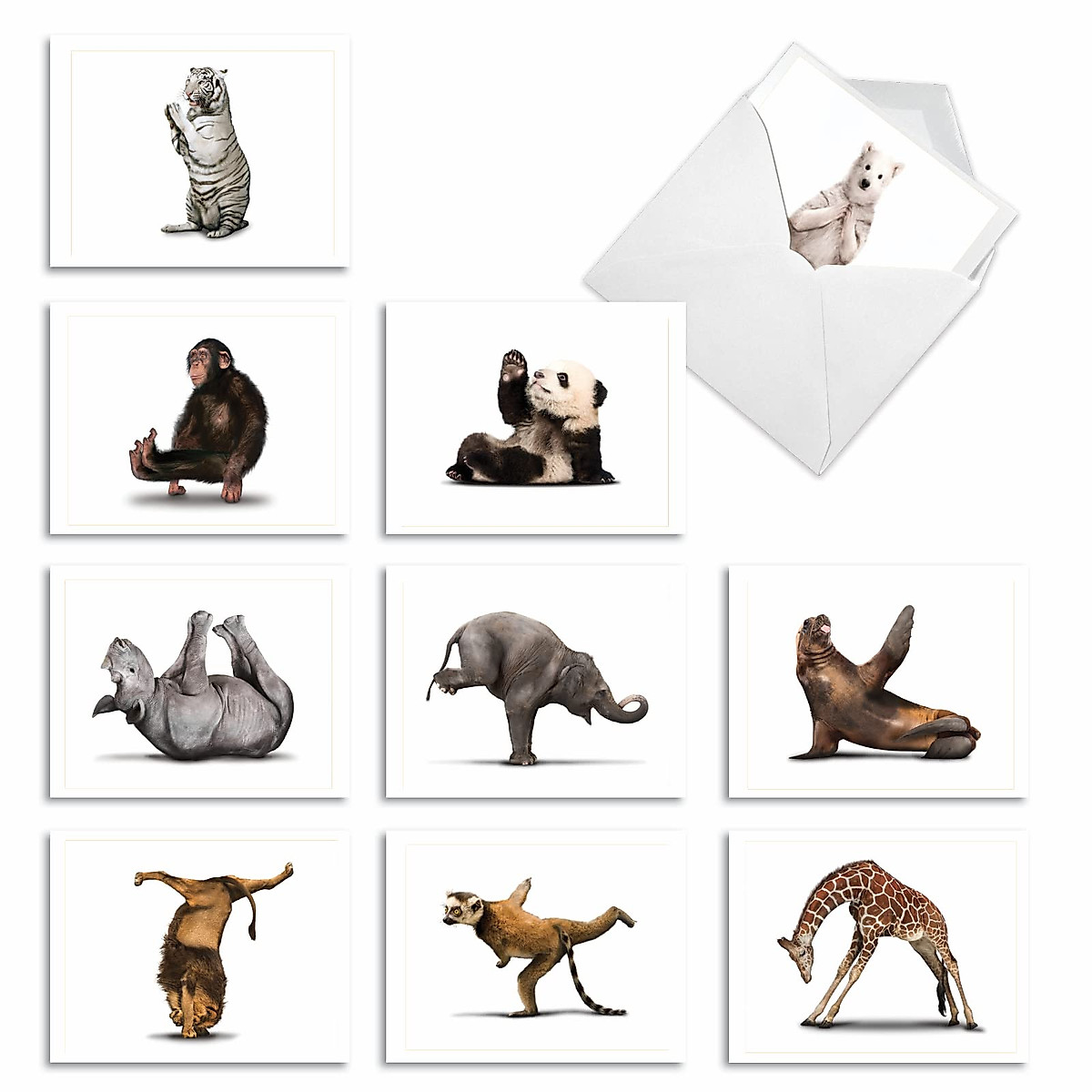 The Best Card Company - 10 Boxed Thank You Notes w/Envelopes, Assorted Stationery to Say Thanks for Men and Women - Zoo Yoga M6547TYG