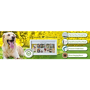 Green Pollywog | My First Year Picture Frame for Dogs | 12 Month Photo Frame | White Wood Frame | Fur Baby Frame | Fur Baby Milestone Picture Display | Dog Keepsake Frame | Dog Birthday Gift