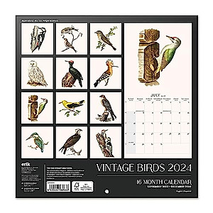 Wall Calendar 2024 12" x 12" FSC® Plastic Free - Starts Week On Sunday | Square Wall Calendar 2024 | Family Planner Calendar 2024 | 2024 Calendar (Birds 2024)