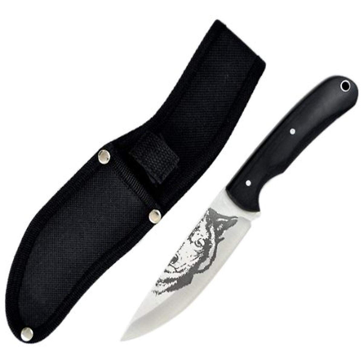 FURY Wolf Razor Edge Fixed Blade Knife with Black Pakka Handle, 9-Inch