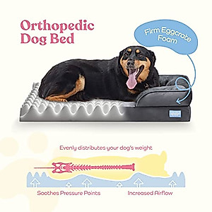 Orthopedic Sofa Dog Bed - Ultra Comfortable Dog Beds for Medium Dogs - Breathable & Waterproof Pet Bed- Egg Foam Sofa Bed with Extra Head and Neck Support - Removable Washable Cover & Nonslip Bottom