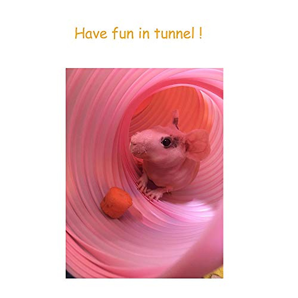 Small Animal Play Tunnel, Durable Resistant Plastic Guinea Pigs Tube, Fun Pet Tunnel Hideway for Guinea Pigs Chinchillas Rats and Dwarf Rabbits