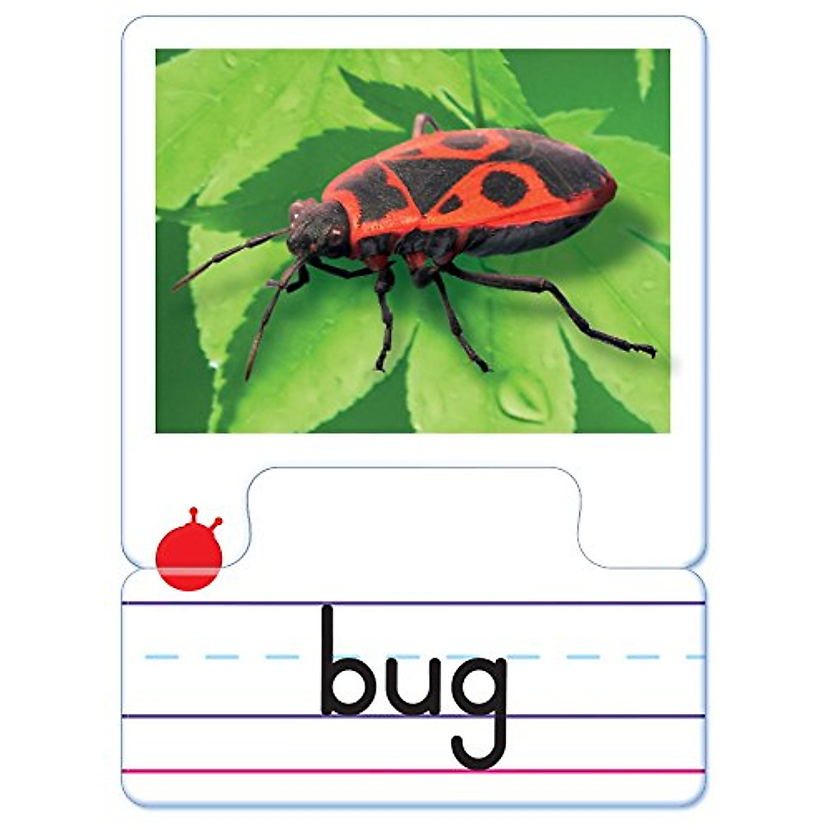 Key Education Big Box of Easy-To-Read Words Puzzles, Sight Words and Phonics Practice With Word and Photo Puzzle Pieces, Educational Games for Special Learners Ages 5+ (250 pc) , 1.5" x 2" - 2" x 2"