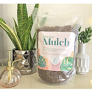 Urban Thumb & Co Ultra Fine Garden Plant Mulch - Top Cover for Indoor / Outdoor Potted House Plants - Compact Size, Potting Mix for Urban Plant Lovers- 3.25 Quarts