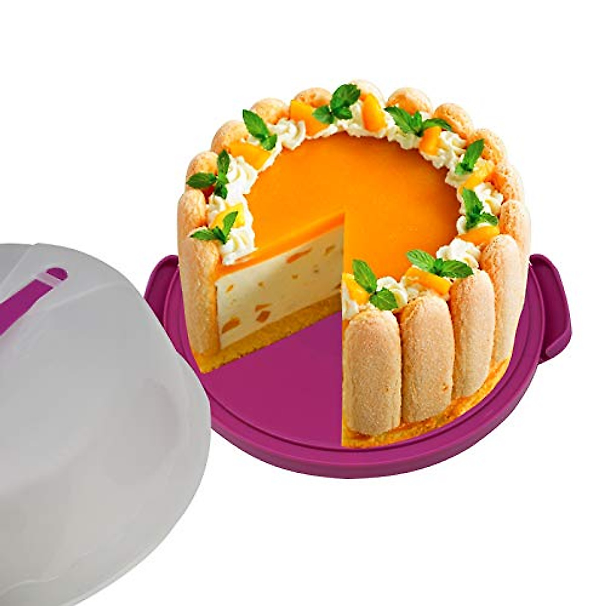 Portable Round Cake Carrier with Handle Pie Saver Cupcake Container Up to 10 Inch Translucent Dome for Transporting Cakes, Cupcakes, Cookies, Pies, or Other Desserts (Purple)