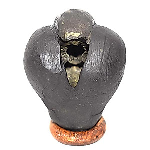 Dhumavati Shaligram/Adwaitya Golden Dhumavati Dasha MahaVidya Shaligram, Fossil, Fossil
