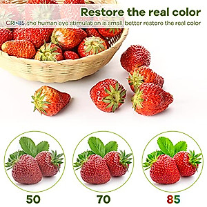 Kecoreay LED Edison Bulb 5000K Daylight White,7W 850Lum Light Bulbs 60 Watt Equivalent, E26 Standard Base Edison LED Bulbs,Antique ST58 Filament Light Bulb,High CRI 85+,Non Dimmable,6 Packs