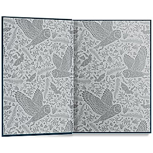 Corte de nevoa e furia - Vol. 2 Corte de espinhos e rosas – Edicao especial (Em Portugues do Brasil)