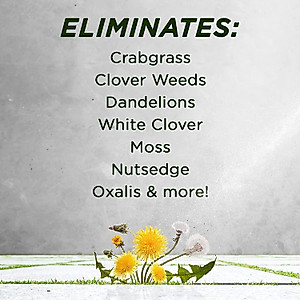 Green Gobbler 20% Vinegar Weed & Grass Killer | Natural and Organic | Concentrated | 32 fl. oz. Spray | Glyphosate Free Herbicide