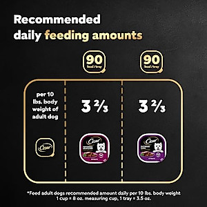 CESAR Adult Wet Dog Food Classic Loaf in Sauce Filet Mignon and Porterhouse Steak Flavors Variety Pack,(12) 3.5 oz. Easy Peel Trays, Pack of 2