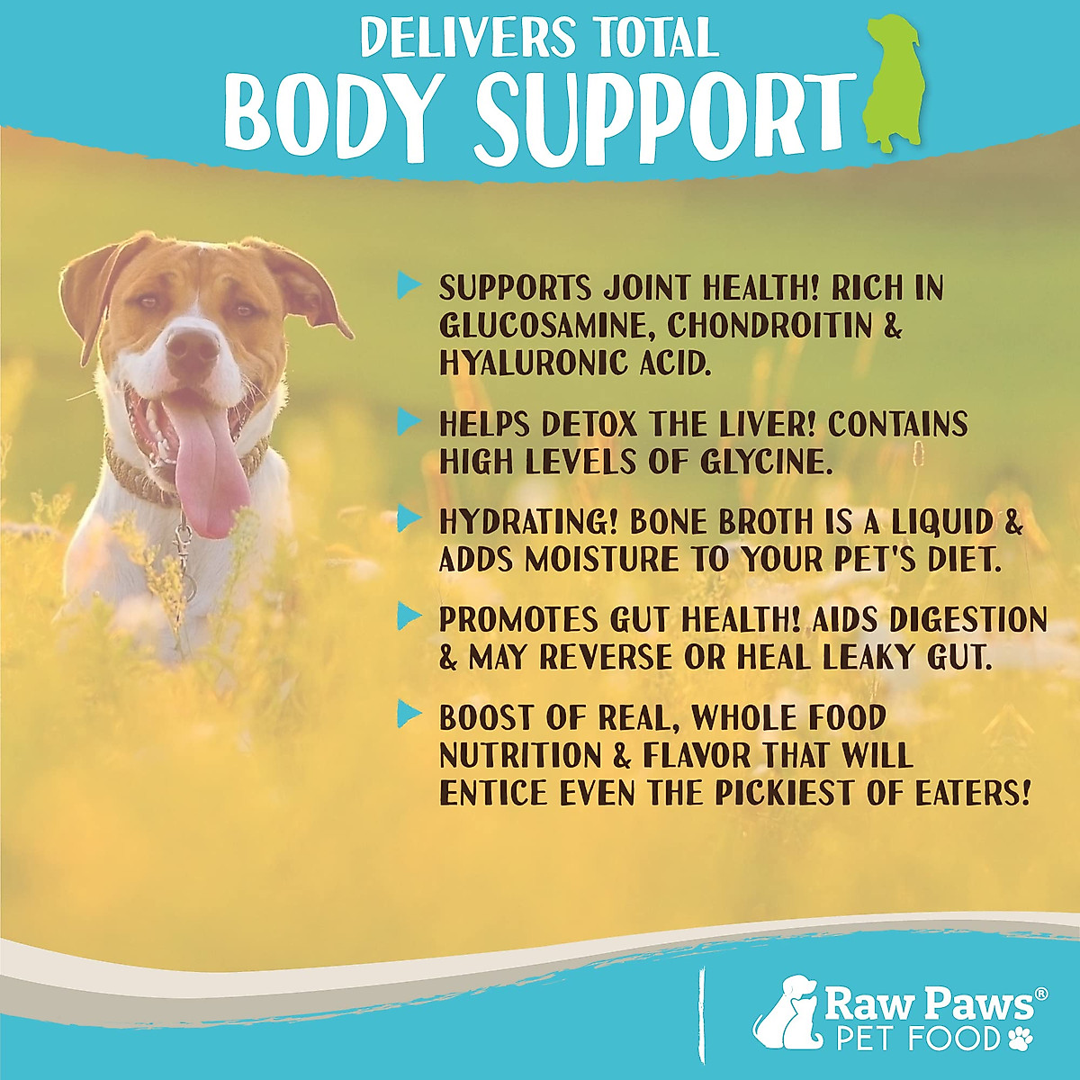 Raw Paws Chicken Bone Broth for Dogs & Cats, 6-oz - Made in USA - Dog Food Topper - Bone Broth Protein Powder for Dogs, Powdered Bone Broth for Dogs, Bone Broth for Cats, Dog Gravy Topper for Dry Food