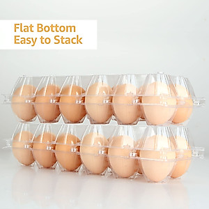 FVIEXE 36PCS Egg Cartons Cheap Bulk, Reusable Plastic Egg Carton, Each Holds 1 Dozen Chicken Eggs (12 Eggs), Clear Empty Chicken Egg Tray Egg Holder for Family Pasture Farm Market, Large Size