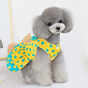 SHIAOMIN Dog Harness Dress with Leash Polka Dots Pet Skirt Summer Kitten Clothes Cute Doggy Costume for Cat Puppy (X-Large)