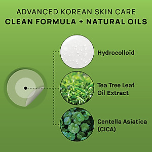 AOA STUDIO Absorbing Cover Healing Invisible Acne Patch Blemish Spot, Treatment, Facial Acne Patch Vegan, Cruelty Free, Hydrocolloid, Two Sizes 10mm 12mm (Total 84 Counts)