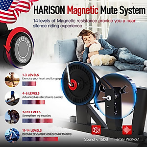 HARISON Recumbent Exercise Bike with Arm Exerciser, Recumbent bikes for Adult Seniors, Recumbent Exercise bike for Home 400 lbs Capacity
