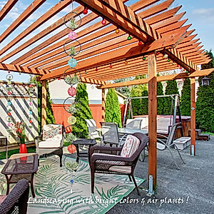 Tillandsiart Air Plant Hanger (Rings & Balls Tillandsia Air Plant Hanging Planter Set) A Unique DIY Kit for You to Hang Air Plants Indoors or Outdoors - Air Plants Not Included.