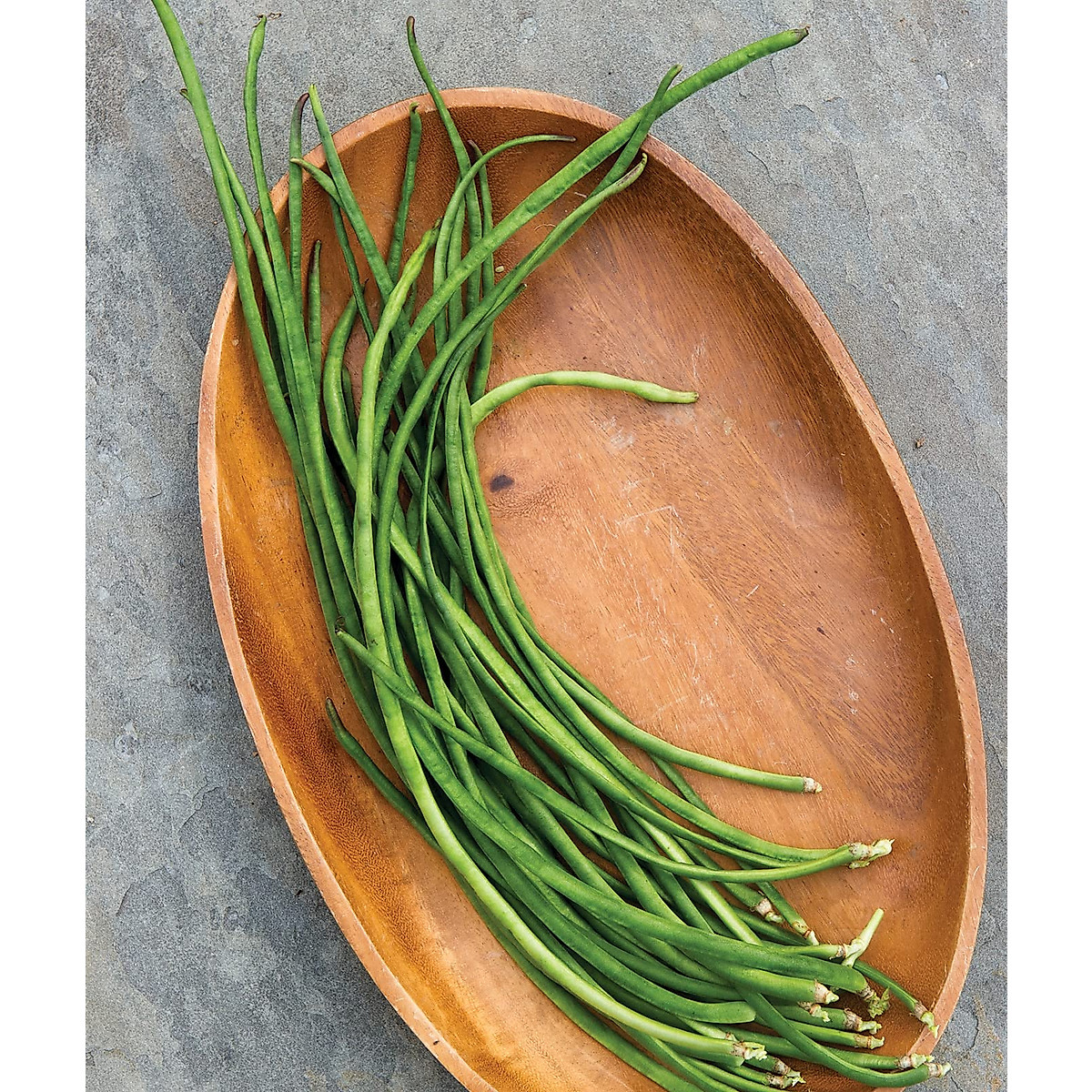Burpee Yardlong Asparagus Pole Bean Seeds 1 ounces of seed