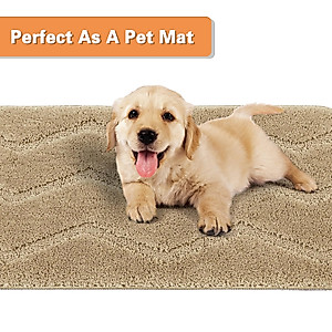 CHICHIC Dirt Trapping Indoors Door Mat 24" x 36", Entry Rugs, Non-Slip Entrance Rugs, Machines Washable Floor Mats, Dog Door Mat, Super Absorbent Mat for Front & Back Door, Shoes Scraper, Khaki