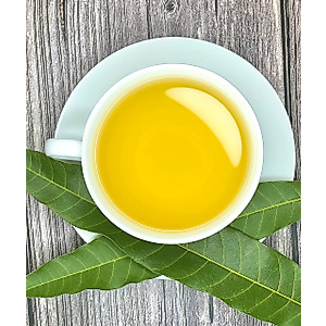 Mango Leaf Tea by Palm Beach Herbals, 30 Count Tea Bags, Caffeine-Free | Pure Herbal Tea Series