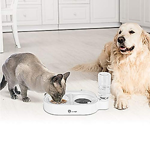 ANYPET 2-in-1 Gravity Water Bowl and Food Bowl, Anti-Spill Raised Sides, Anti-Slip Base, Pet Automatic Water Dispenser with Detachable Bowl and 500ml Water Bottle, White (APF07W)