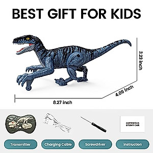 Tecnock Remote Control Dinosaurs, Mini Dinosaur Toys for Kids 3-5 5-7, 2.4GHz Walking RC Robot Dinosaur with Lights, Gifts for Boys Girls Age 4 5 6 7 8-12