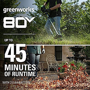 Greenworks Pro 80V Cordless Brushless String Trimmer + Leaf Blower Combo, 2Ah Battery and Charger Included STBA80L210