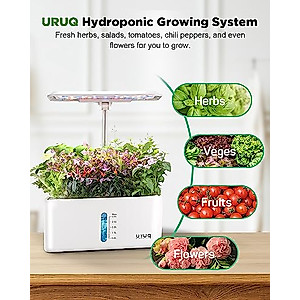 Hydroponics Growing System Indoor Garden: 8 Pods Herb Garden Kit Indoor with LED Grow Light Quiet Smart Water Pump Automatic Timer Healthy Fresh Herbs Vegetables - Hydroponic Planter for Home Kitchen