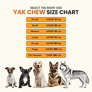 The safest All-Natural Cheese Chews - Large (Pack of 4) - NO Chunks, NO preservatives, NO Bad Smell, Great Teeth Cleaner, Super Long-Lasting