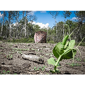 Muddy Executioner 150-2 Man Pop-Up Blind Panoramic Windows, Split Curtains on Silent Sliders, 180 Degree Shooting Windows