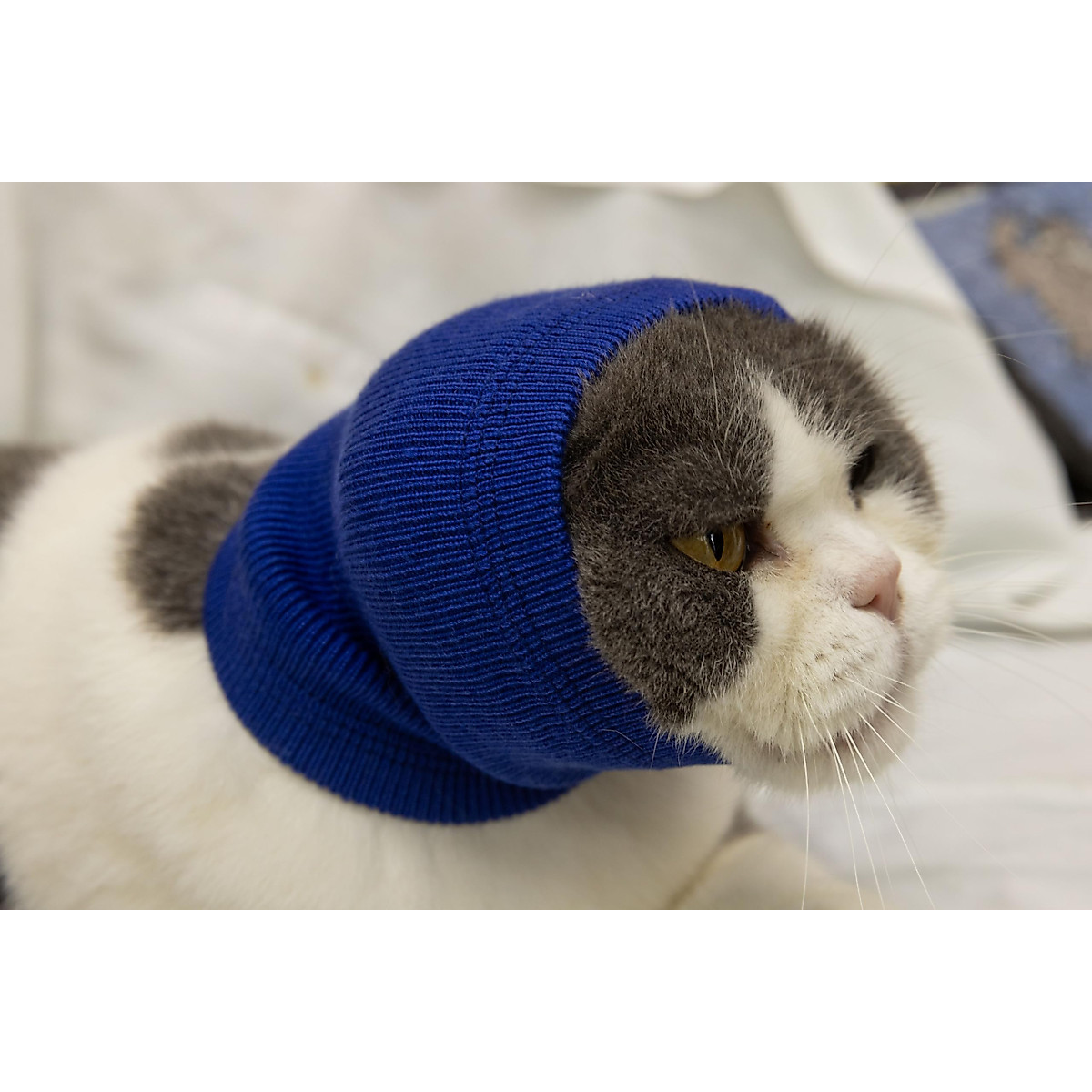 DDFS 2 Pack Cat No Flap Ear Wrap, Hoodie Anxiety Pet Earmuffs No Flap Ear Wrap Cat Small in Bath - Blue+Grey S