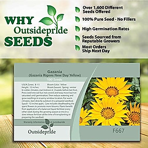 Outsidepride Gazania Yellow Heat & Drought Tolerant Garden Flower & Ground Cover Plants - 100 Seeds