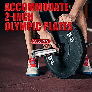 Holleyweb Olympic Barbell Curl Bar EZ Bar Strength Training Bar Threaded Chrome Barbell Bar for Weightlifting, Hip Thrusts, Squats and Lunges, Black, 47 inches (A-YD04002)