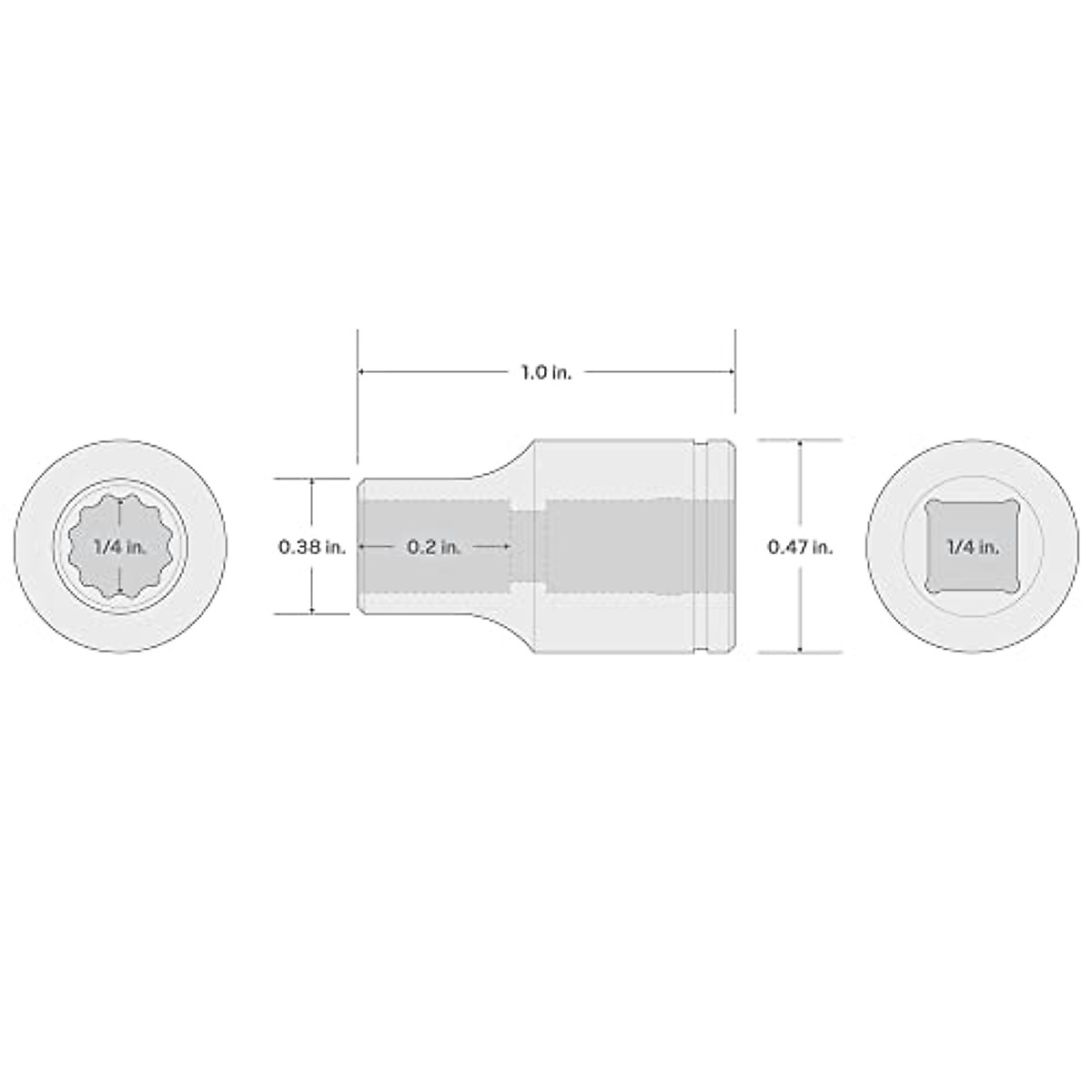 TEKTON 1/4 Inch Drive x 1/4 Inch 12-Point Socket | SHD02206