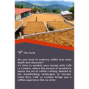 La Cumbre Specialty Coffee Whole Bean Medium Roast, Arabica Beans, Low Acid, Gourmet Whole Bean, Vegan, Kosher & Keto Friendly, Red Honey Process 12 oz, 2 Pack