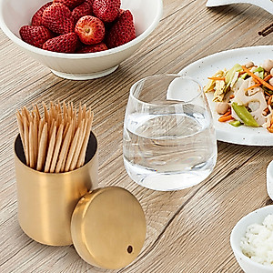 Toothpick Holder, 3.1x2.2in Stainless Steel Toothpick Holder Dispenser Pocket Toothpick Holder Metal Toothpick Storage Box for Table, Restaurant, Travel(Gold)