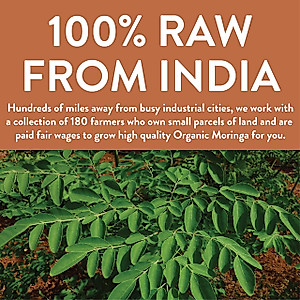 FGO Organic Moringa Oleifera Leaf Powder, 100% Raw from India, 16oz (Pack of 1)