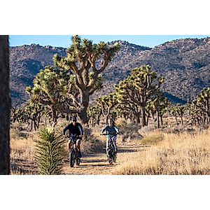 EMOJO RAM SS Street 750W Folding Electric Road Bike for Adults 20 Inch Fat Tire Outdoor E Bike with 48V 10Ah Lithium Battery 20MPH 30 Miles Pedal Assist E Bicycle 7 Speed and LCD Display (Black)