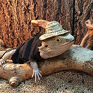 4 Pack Lizard Clothes for Bearded Dragons Straw Hat Set Reptile Apparel Handmade Sleeveless T-Shirt Vest Skin Protection Photo Party for Lizard Bearded Dragon Crested Gecko Chameleon (L, 4 Pack Set)