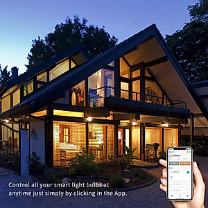 Peteme Smart WiFi Alexa Light Bulb, Led RGB Color Changing Bulbs, Compatible with Alexa, Siri, Echo, Google Home (No Hub Required), E26 A19 60W Multicolor (4 Pack)…