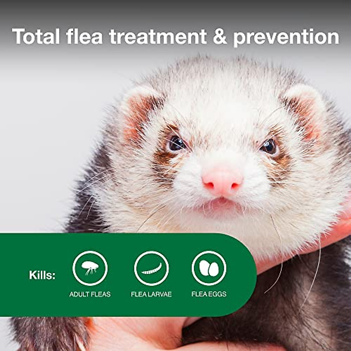 Advantage II Ferret Vet-Recommended Flea Treatment & Prevention | Ferret 1+ lbs. | 2-Month Supply